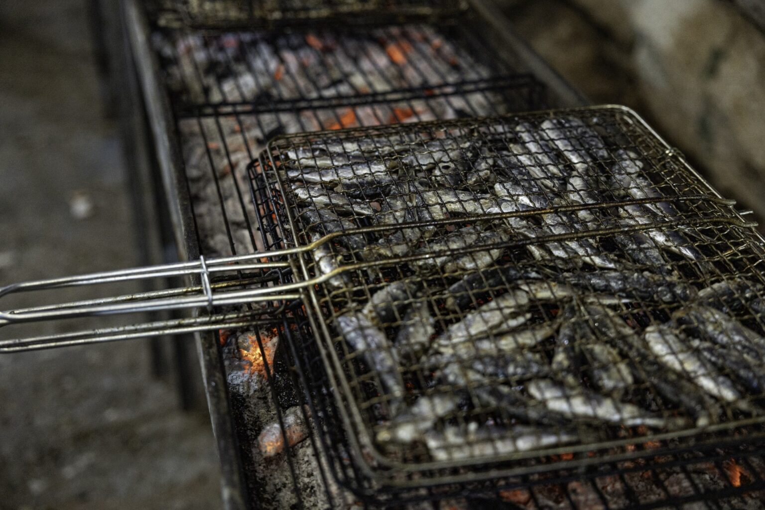 «PIRAEUS TASTE FESTIVAL, Sea Food and More» 25 – 28 Σεπτεμβρίου 2025 ...